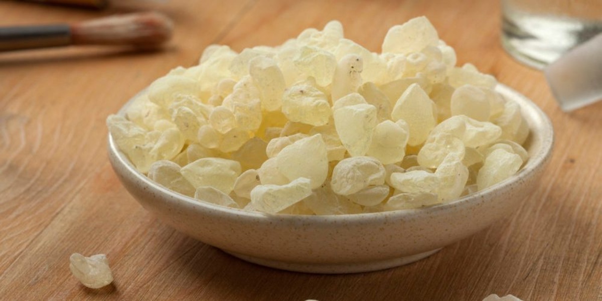 ماهي المستكة وماهي فوائدها الصحية - مجلة هي